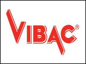 Clear Tape - Your one-stop packaging shop